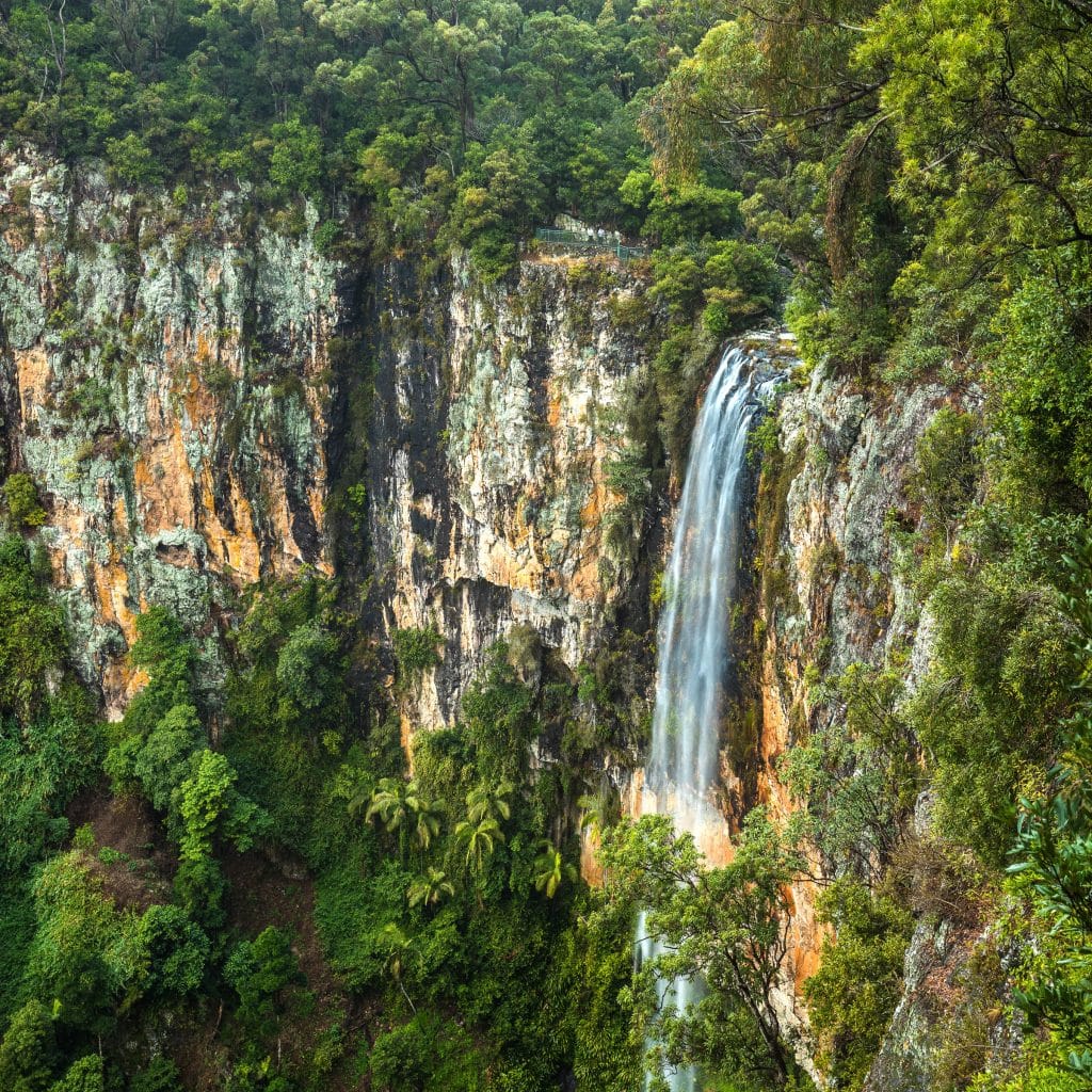 Gold Coast Hinterland & Purling Brook Falls Helicopter Flight